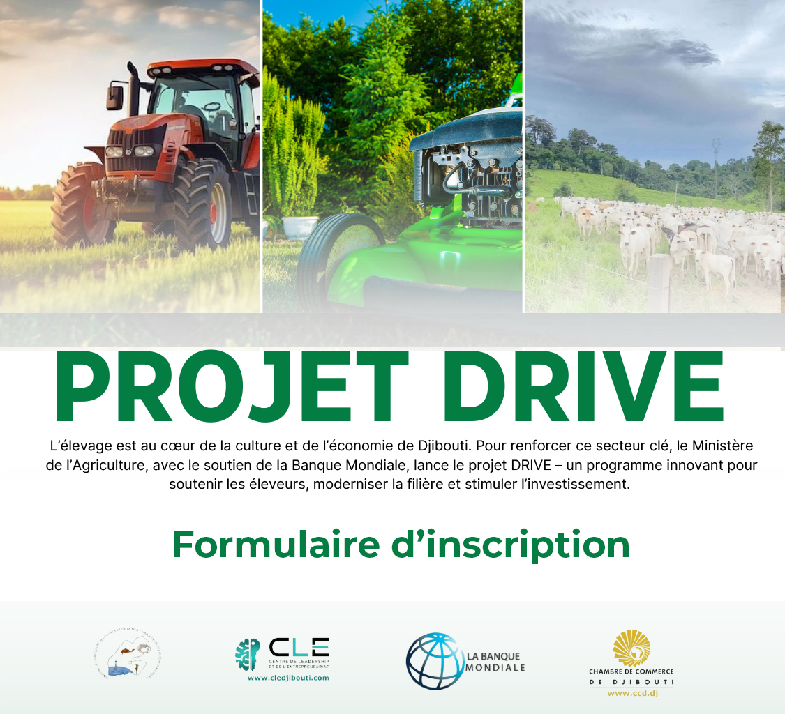FORMULAIRE À NOUVEAU ACCESSIBLE ! - Chambre de Commerce de Djibouti